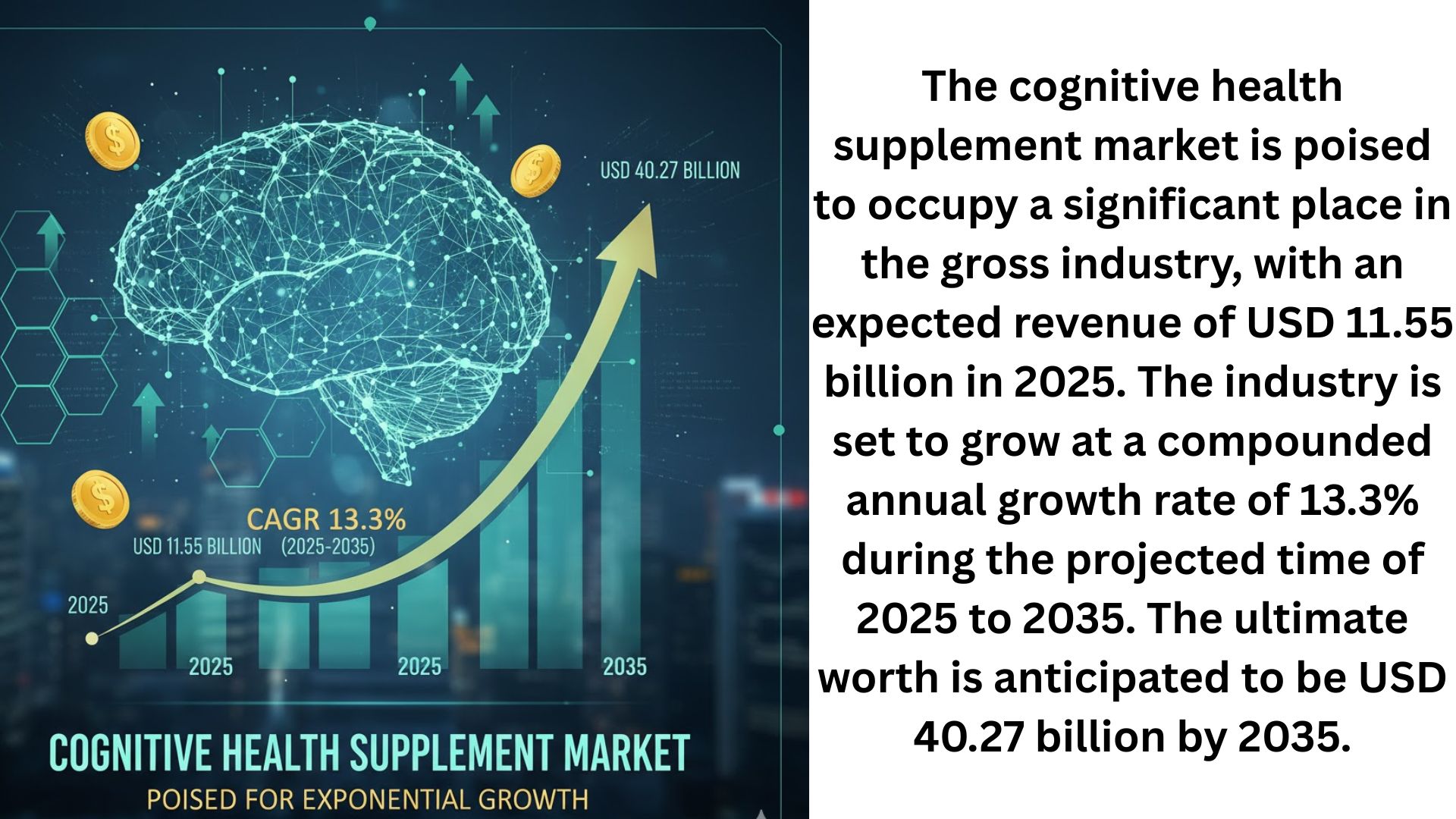 Cognitive Health Supplement Market Growth Forecast 2025 to 2035